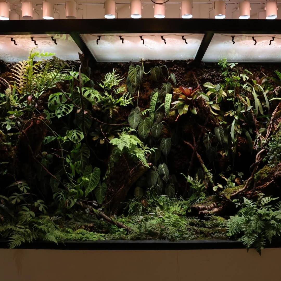 Post from 비오토프 갤러리 biotope gallery