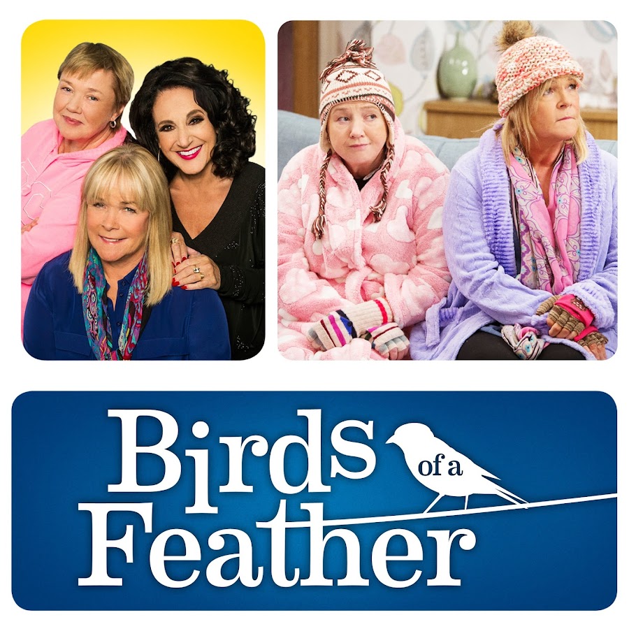 Birds of a Feather - YouTube