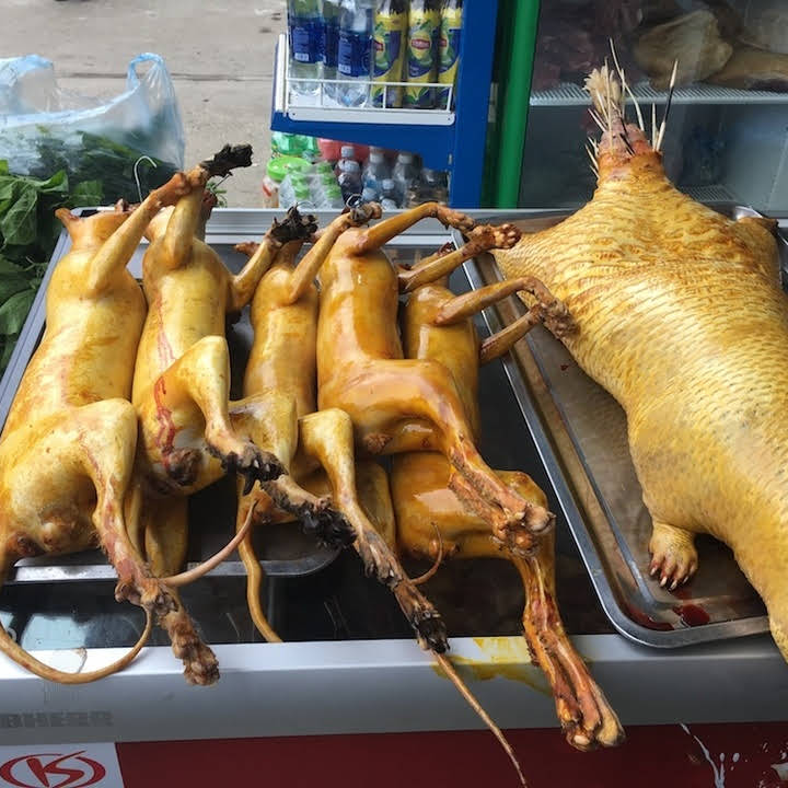 Post from Aaron the Dark blue FR G5🇻🇳