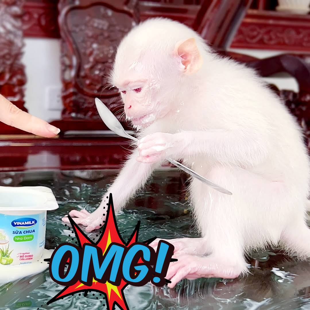 Post from Lovely Ruby