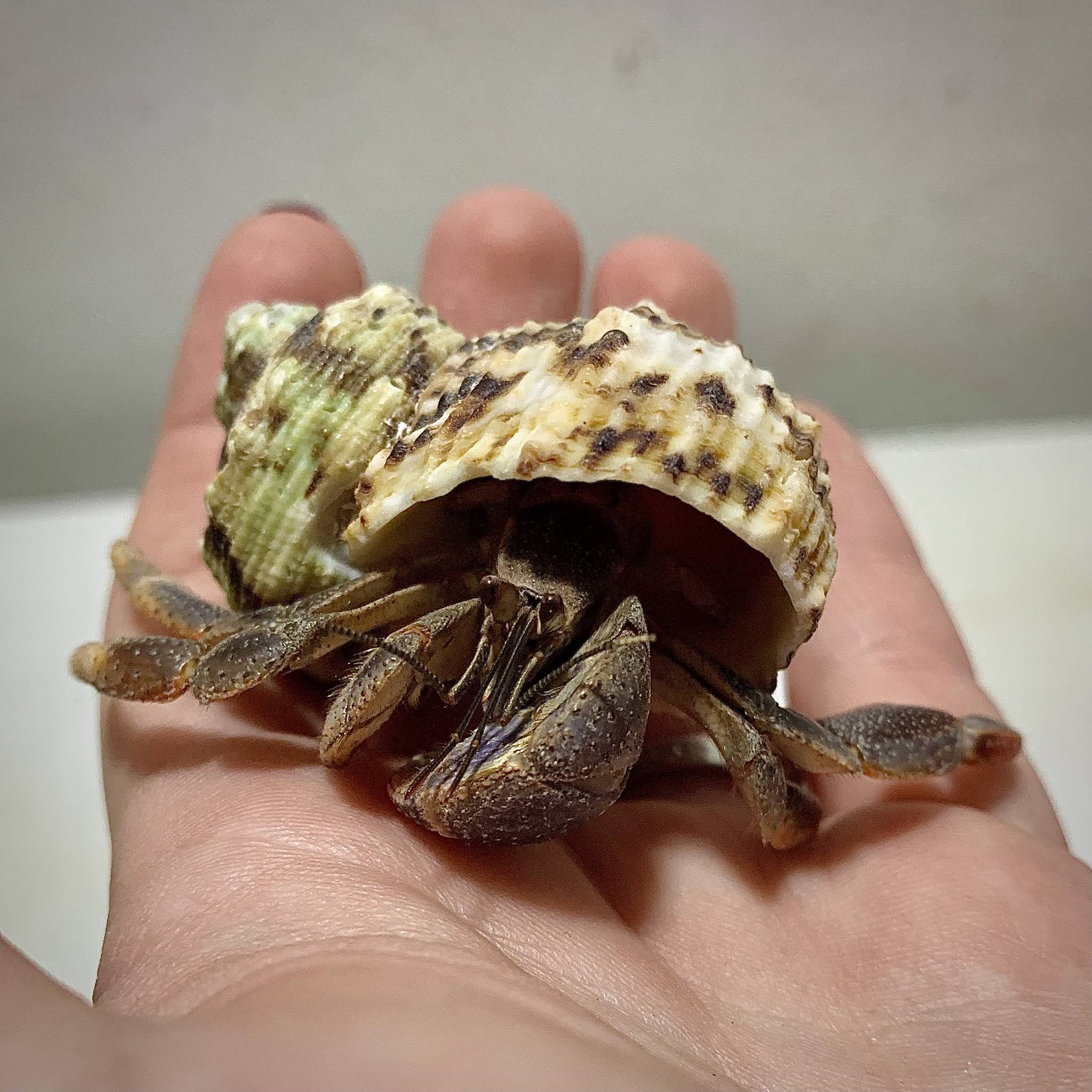 Post from Rylee’s Rabbits