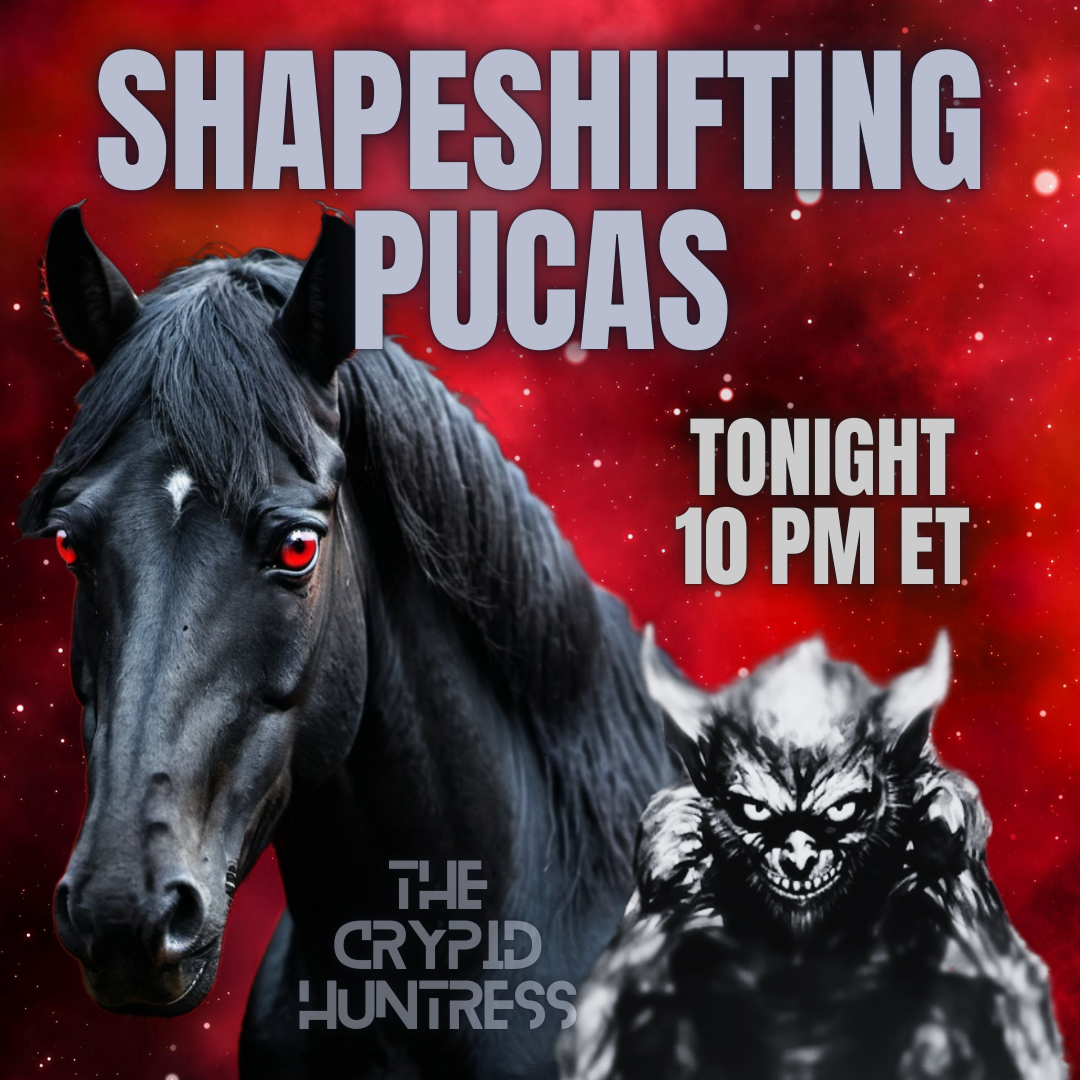 Post from The Cryptid Huntress