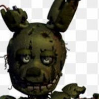 Post from Spring Trap