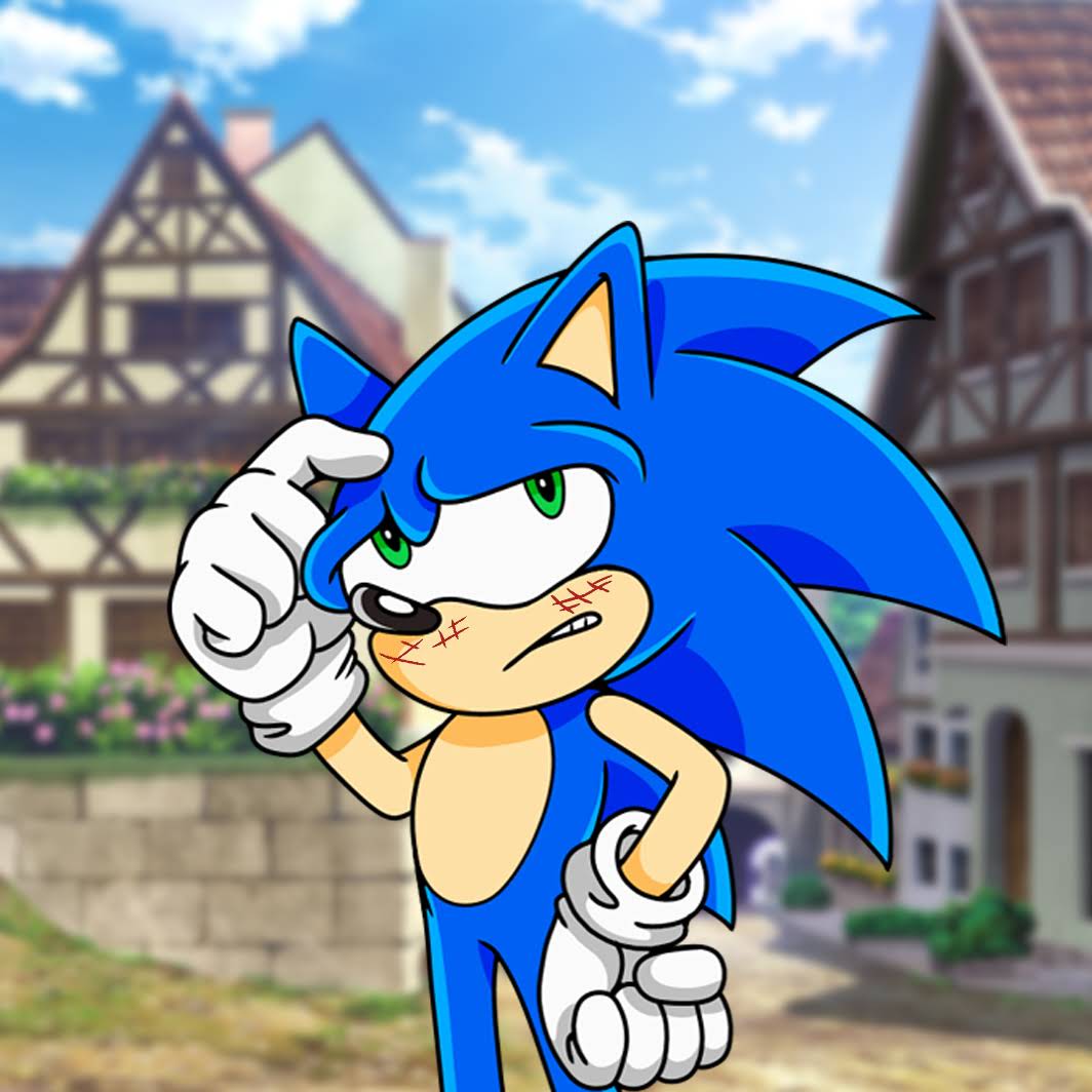 Post from Super Hedgehog Bros