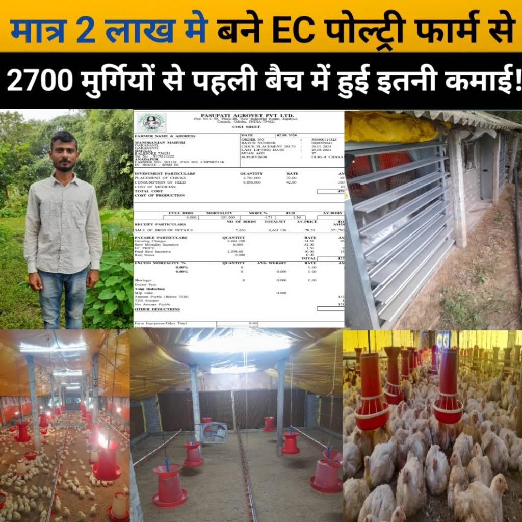 Post from Poultry Zone