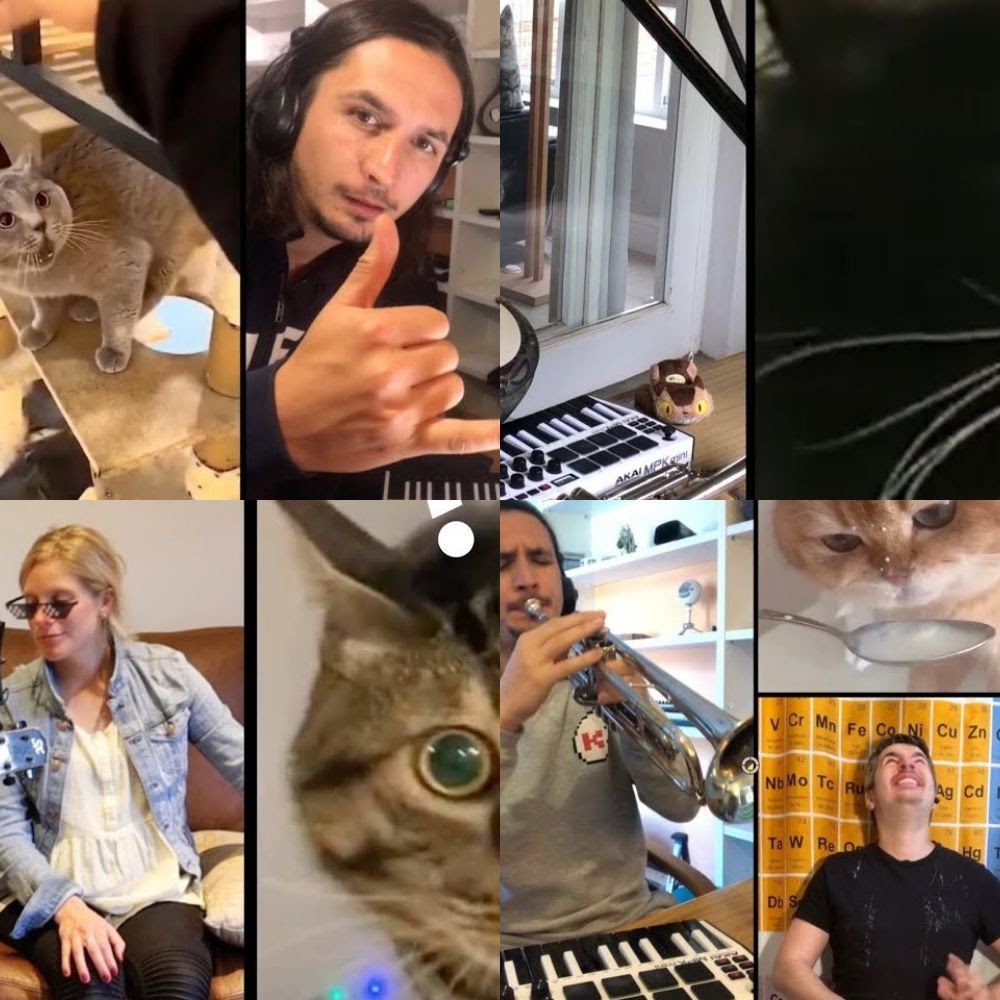 cat jams deluxe ep