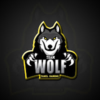 Post from Team Wolf YT