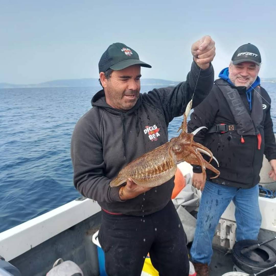 Post from Beja Fishing Tips