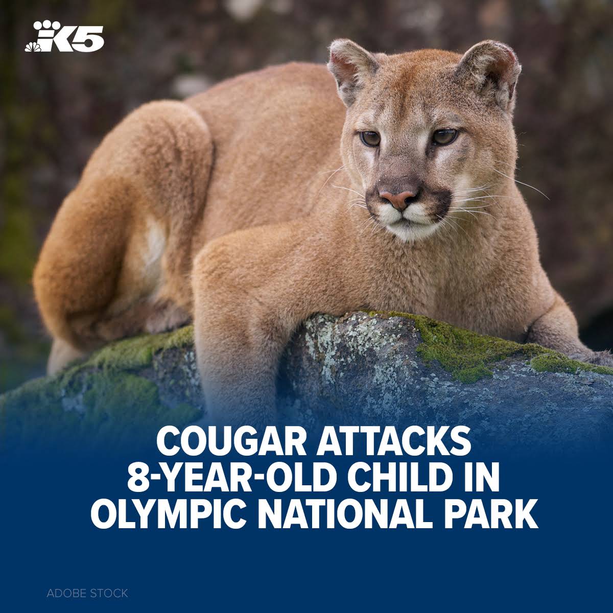 Post from KING 5 Seattle