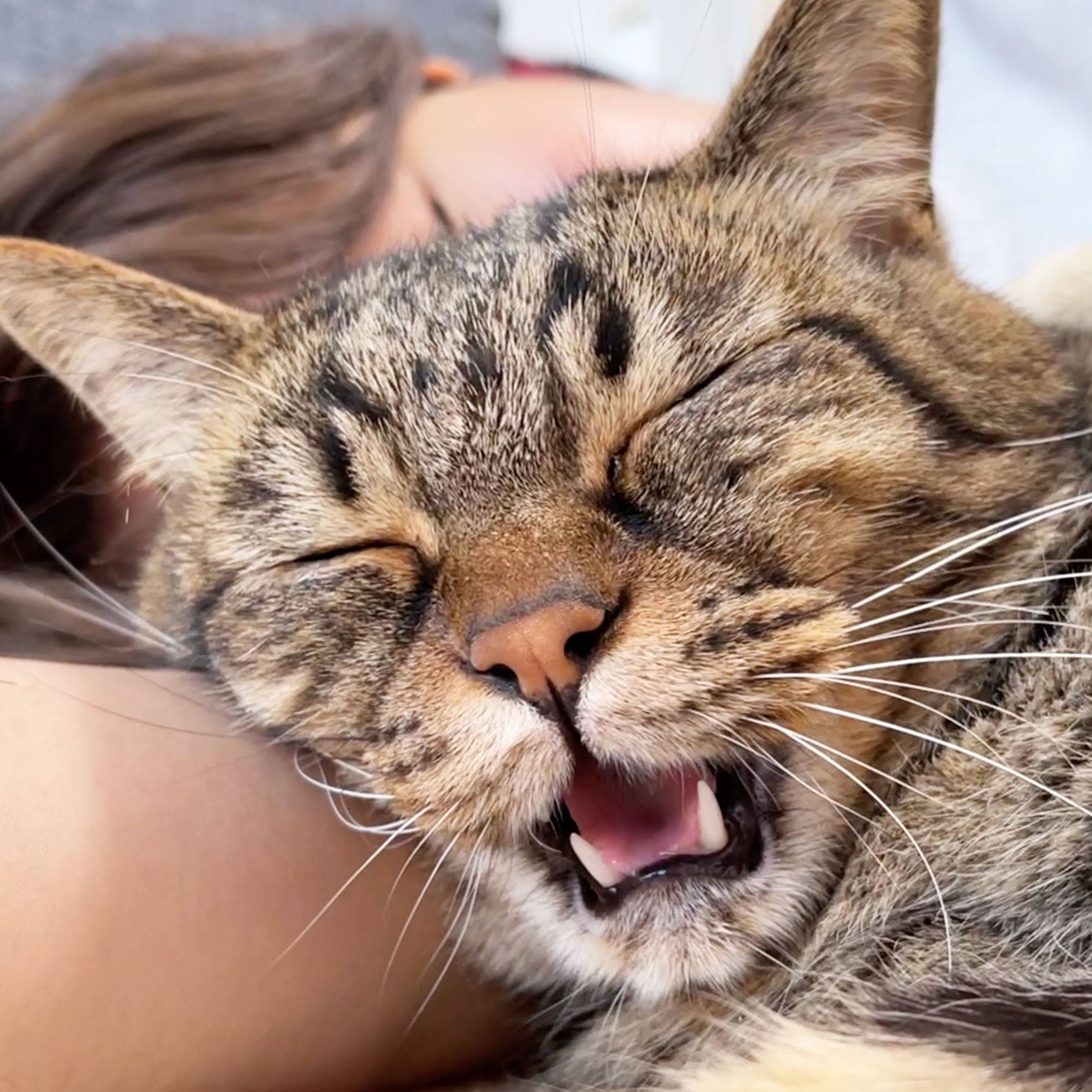 Post from Samoji & Hotane 's Daily Life