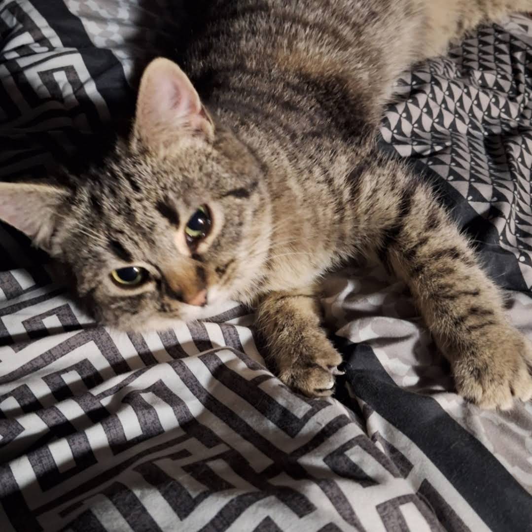 Post from Slim Raven ASMR