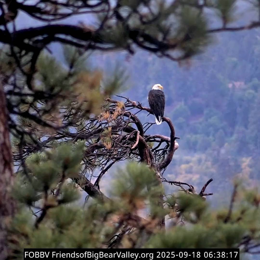 Post from FOBBV CAM