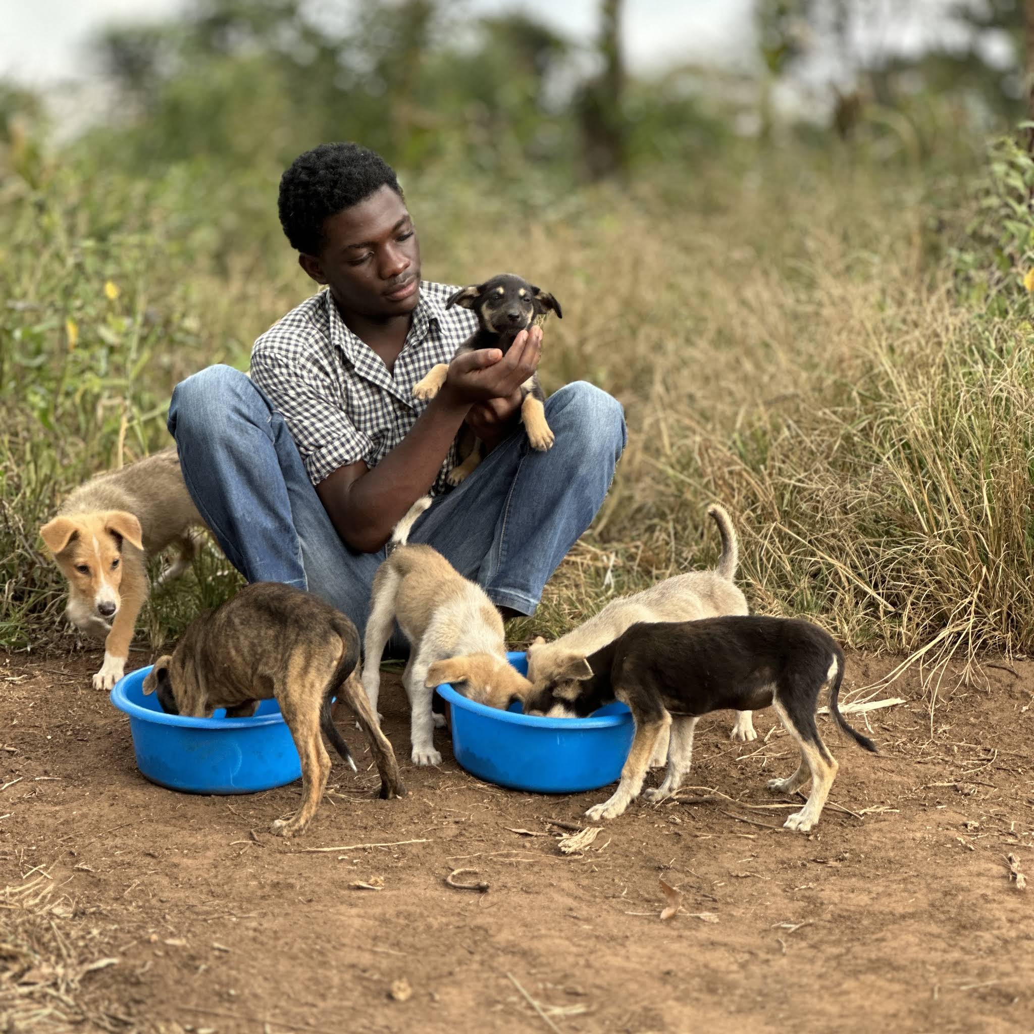 Post from Johnson dogs shelter