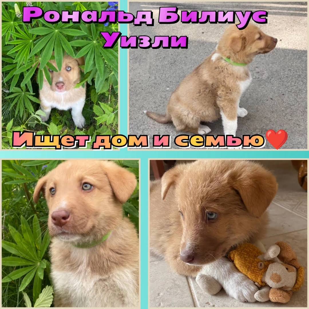 Post from Vernost TV