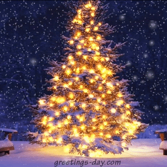 Post from Magic Magy