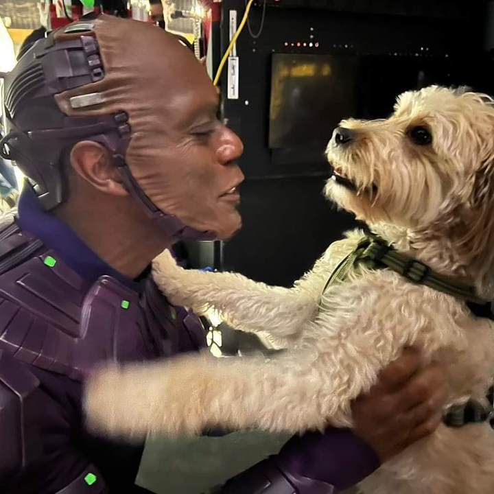 Post from Zapping Top