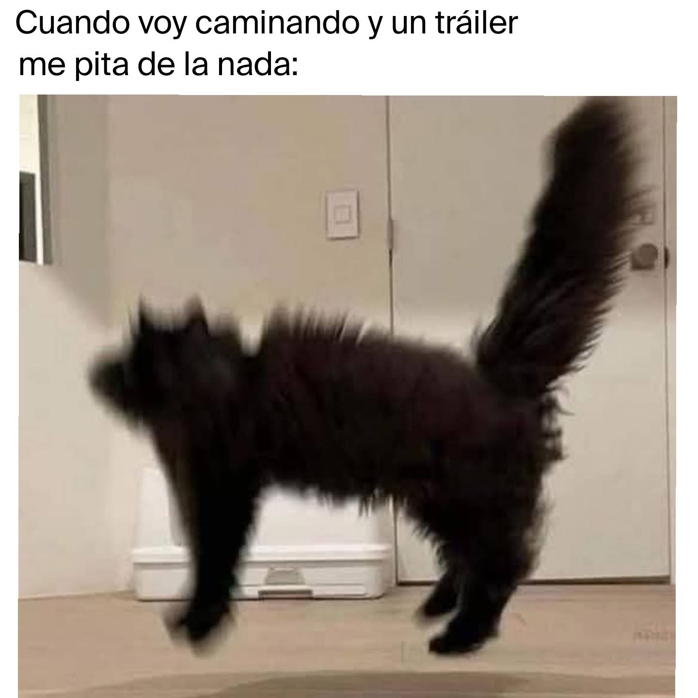 Post from SnowFlake Freak