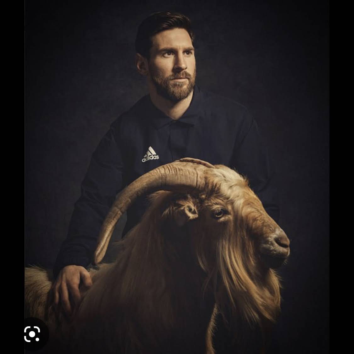 Post from Moldy Nuggets