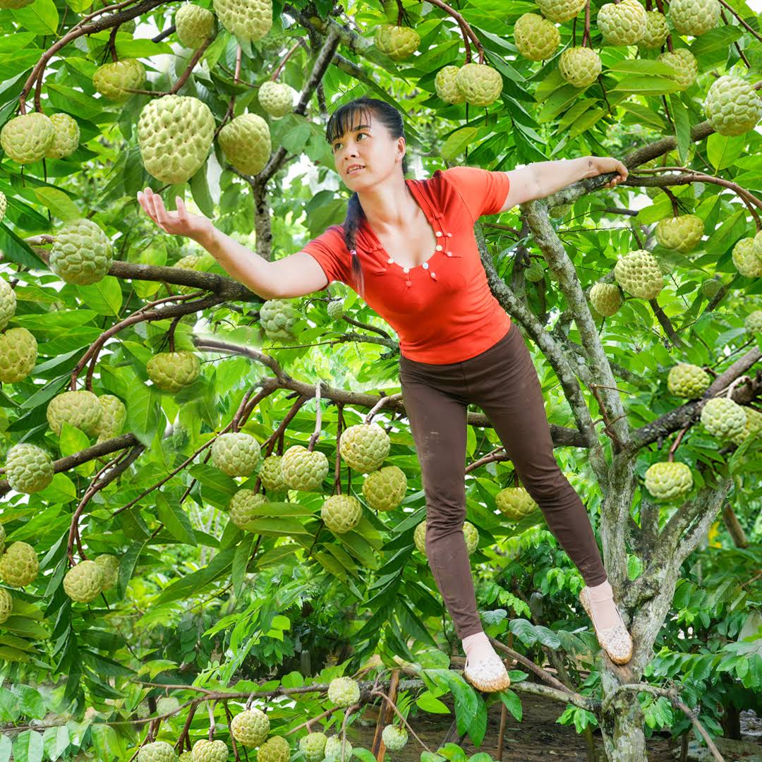 Post from Phương - Free Bushcraft