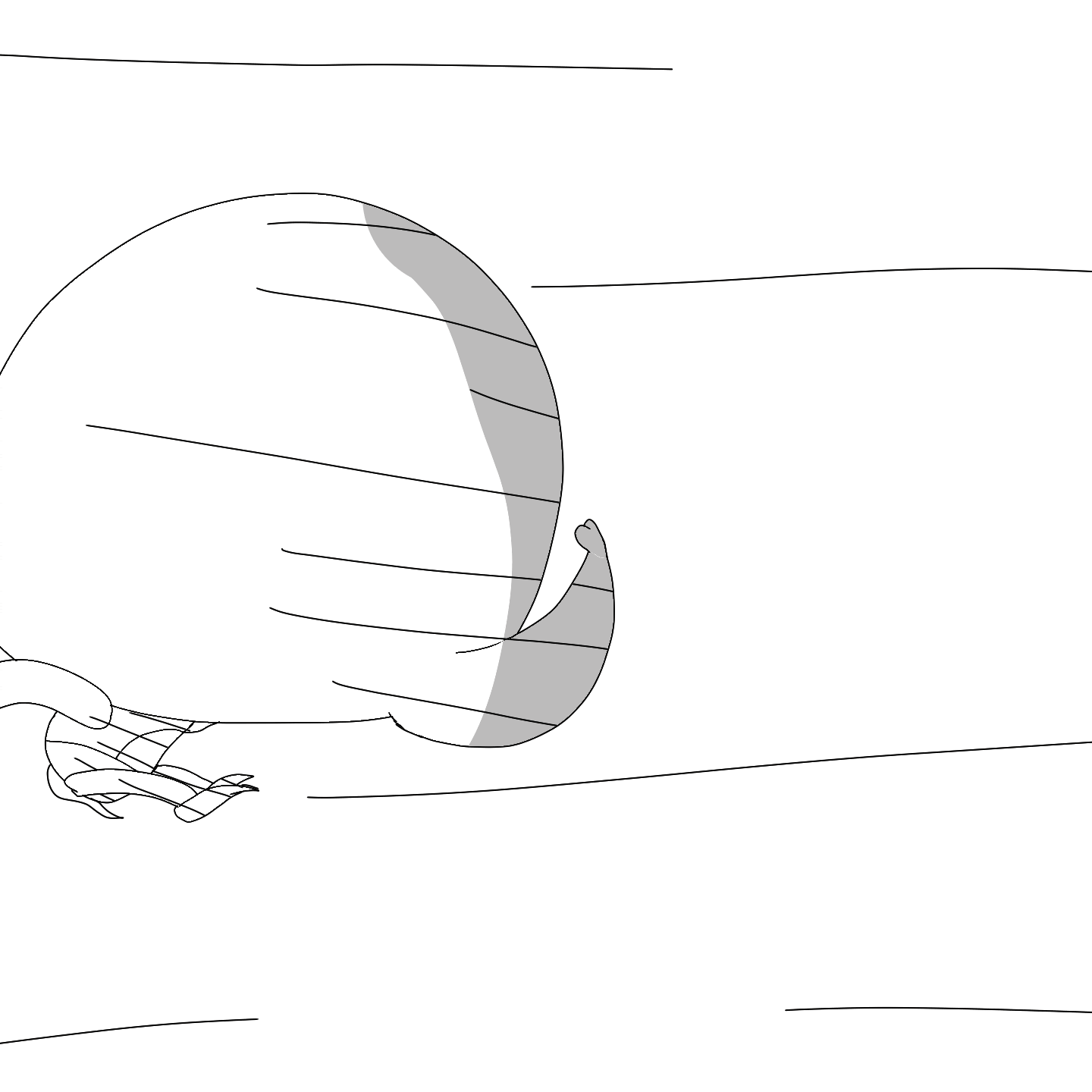 Post from TT Animations