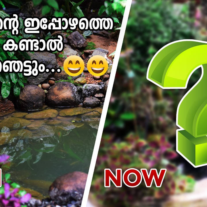 Post from PALLATHI Vlogs