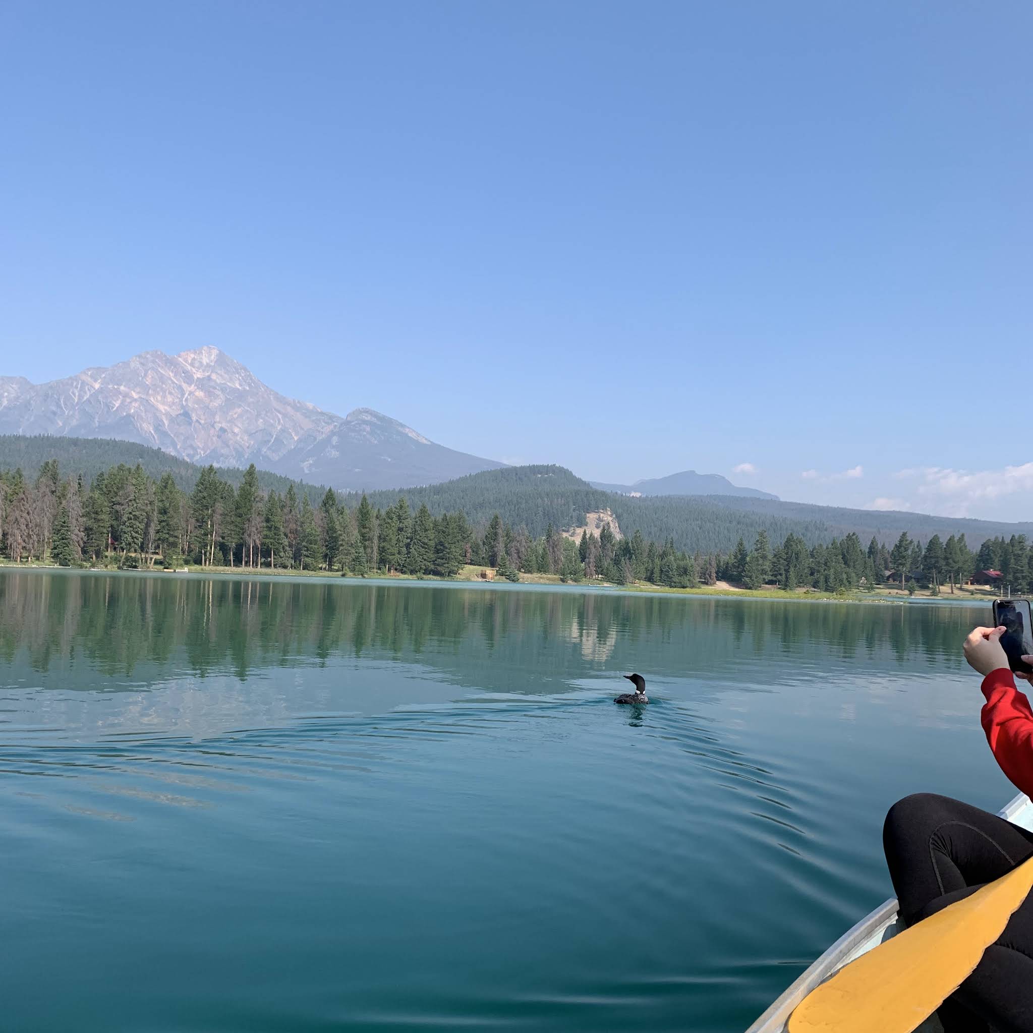 Post from Richard Han