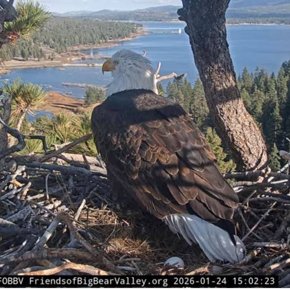 Post from FOBBV CAM