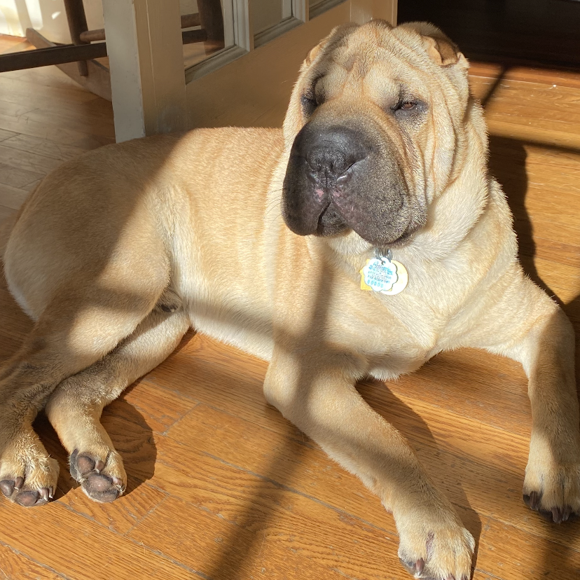 Post from TRUE CRIME Loser