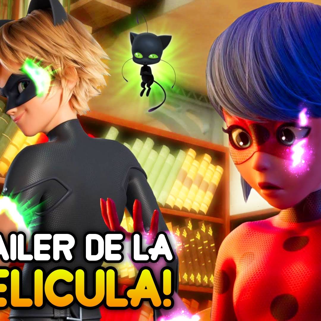 Post from Kitty Section