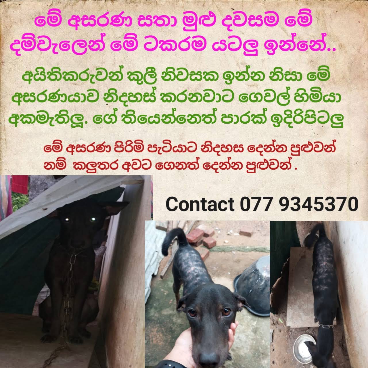 Post from DARSH & MARSH