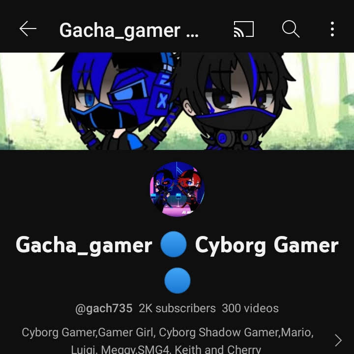 Post from Cyborg_Gamer (CG)