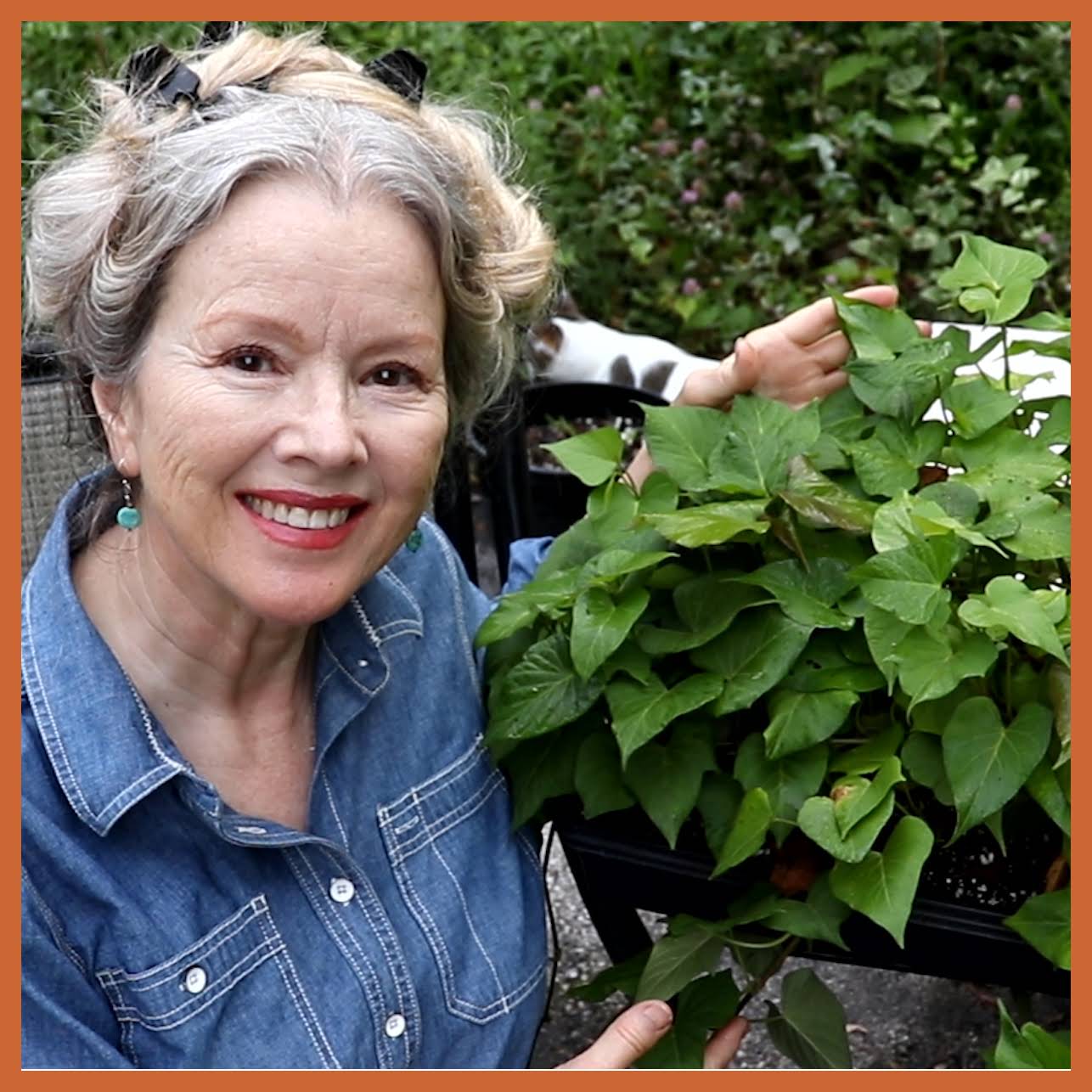 Post from Kaye Kittrell Late Bloomer