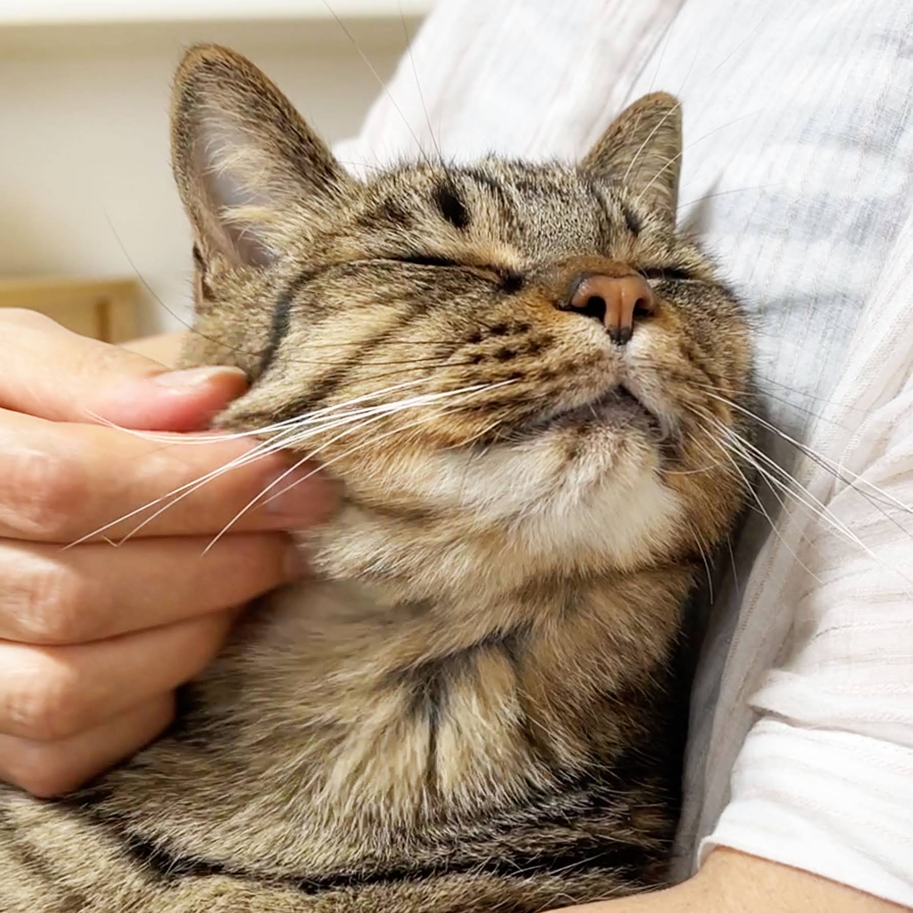 Post from Samoji & Hotane 's Daily Life