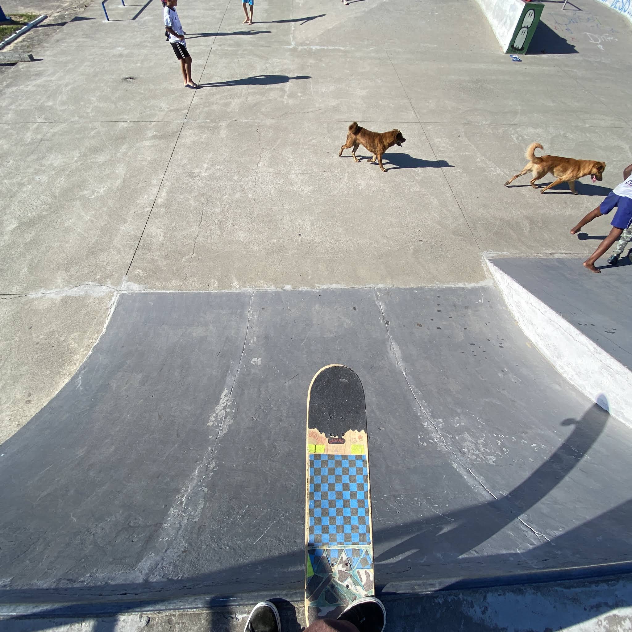 Post from W Black Skate