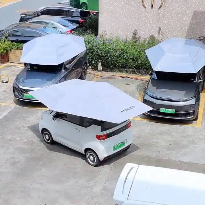 Post from Inconvenient Truths by Jennifer Zeng