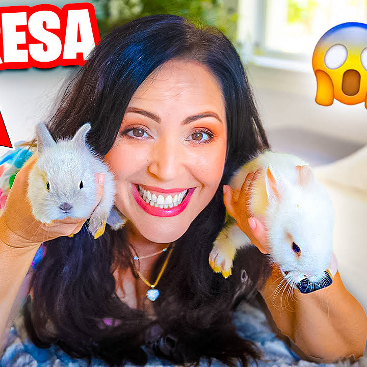 Post from Sandra Cires Art