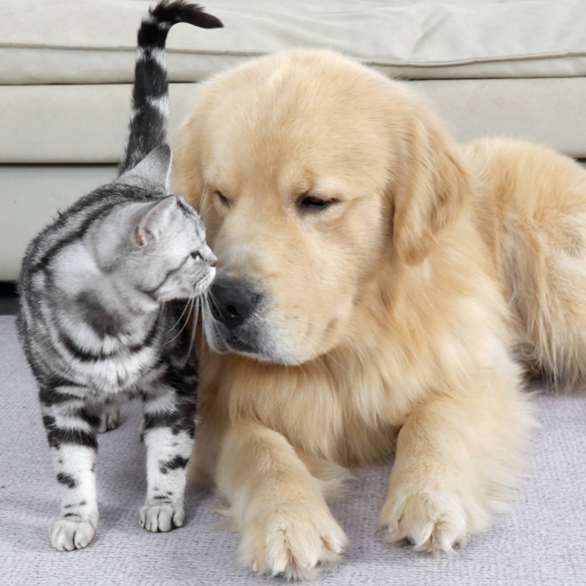 Post from Laffey and Amy