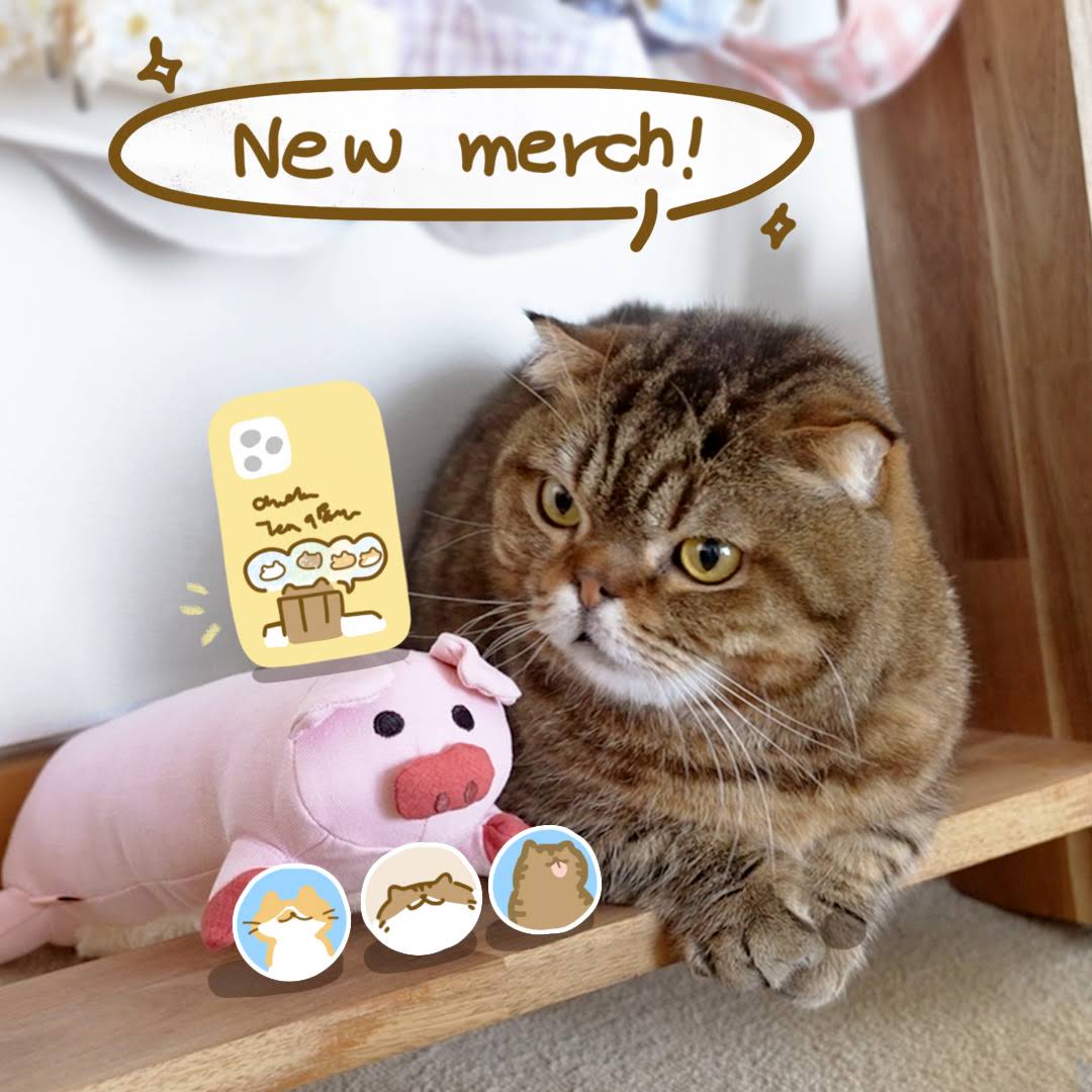 Post from Claire Luvcat