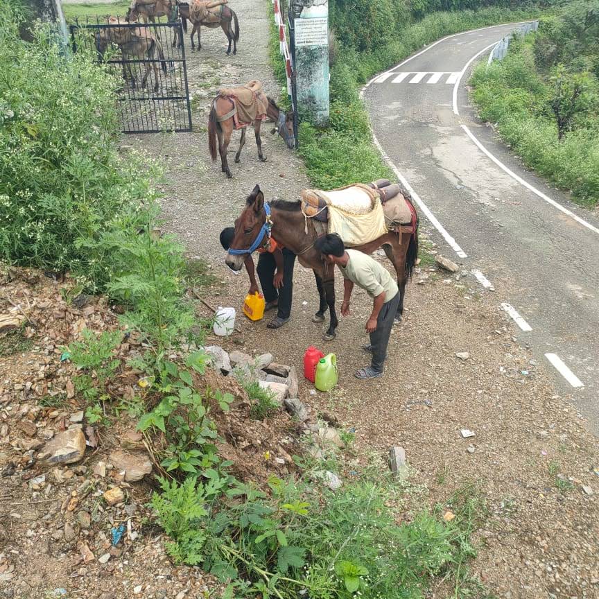 Post from PAHAD NEWS 24