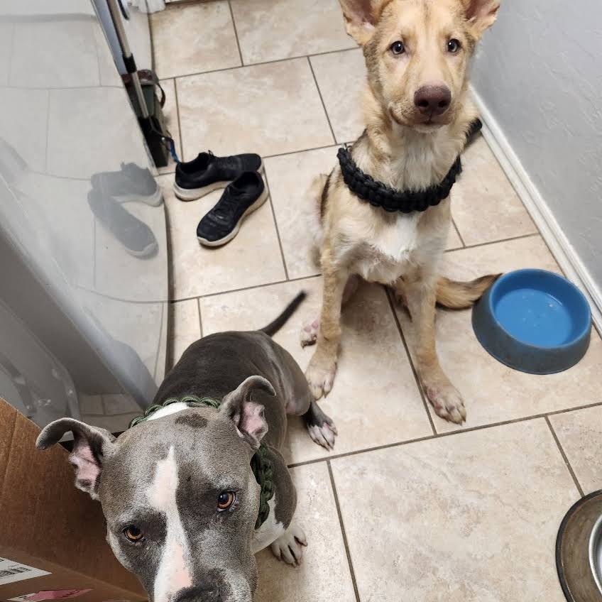 Post from RavenHawk Coins