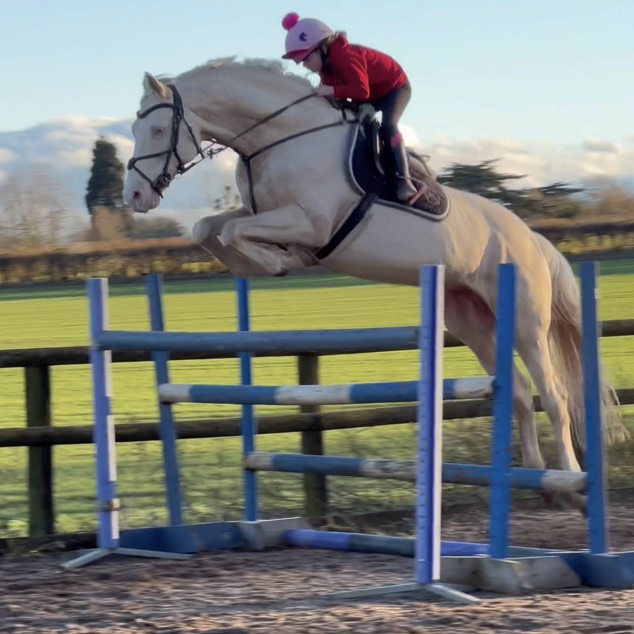 Post from Jumping With Ivy