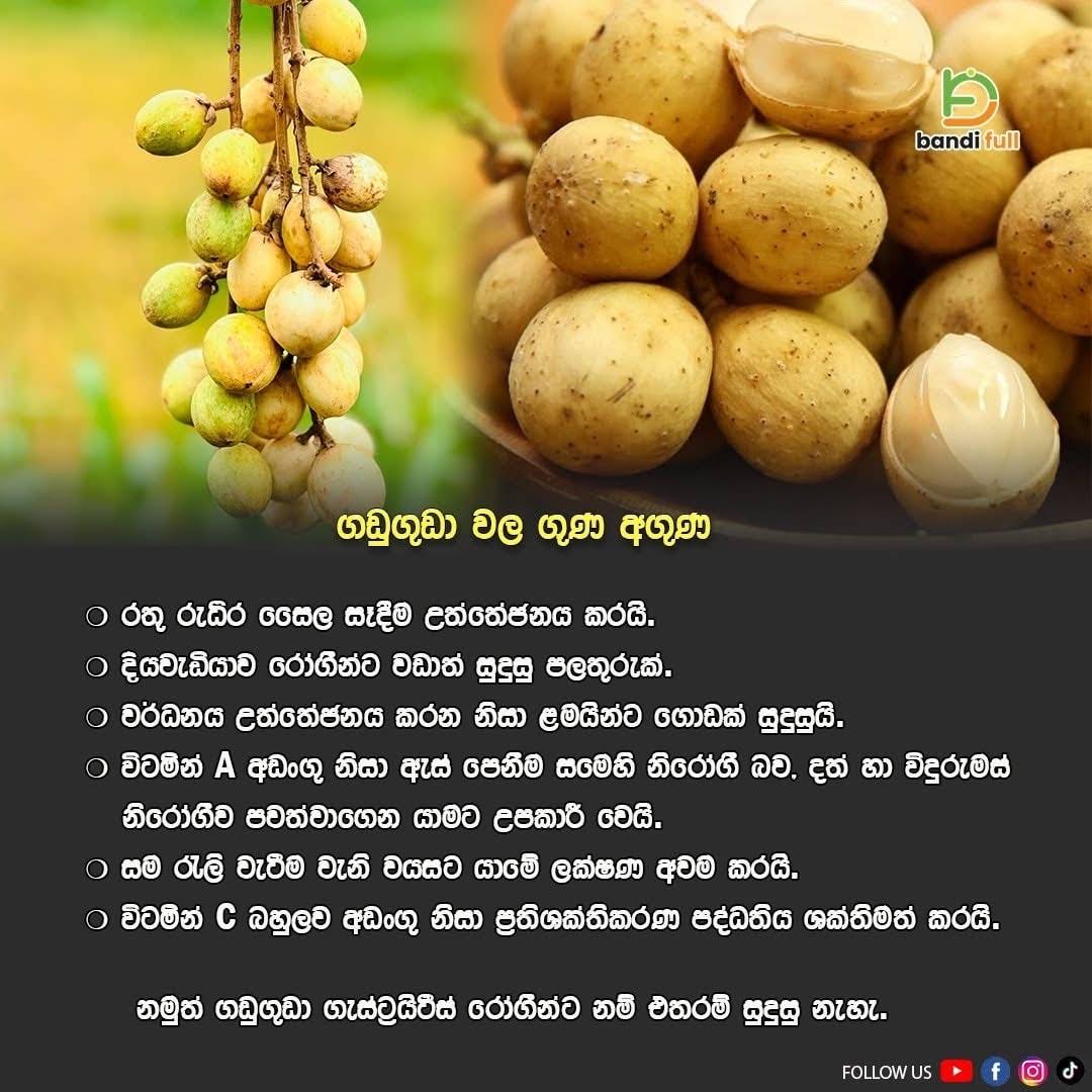 Post from Bandi Full