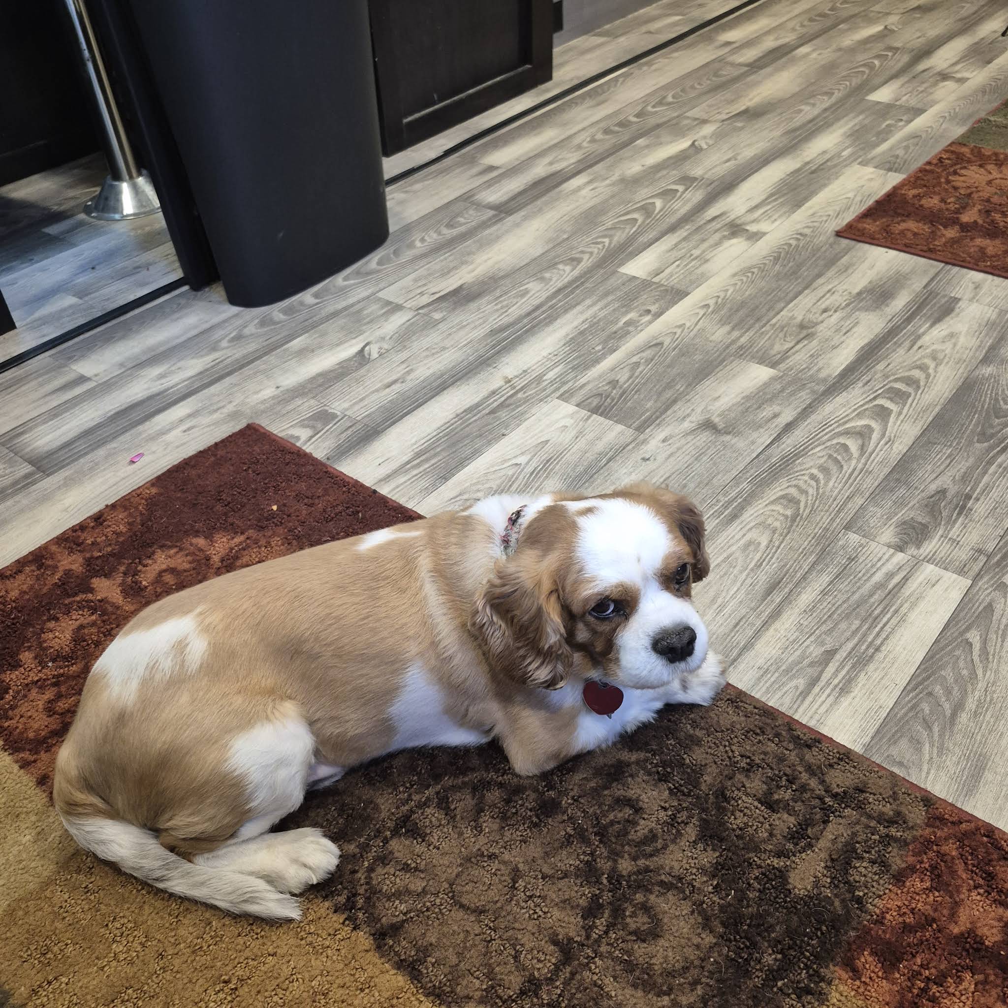 Post from Bazooka Bulldozers