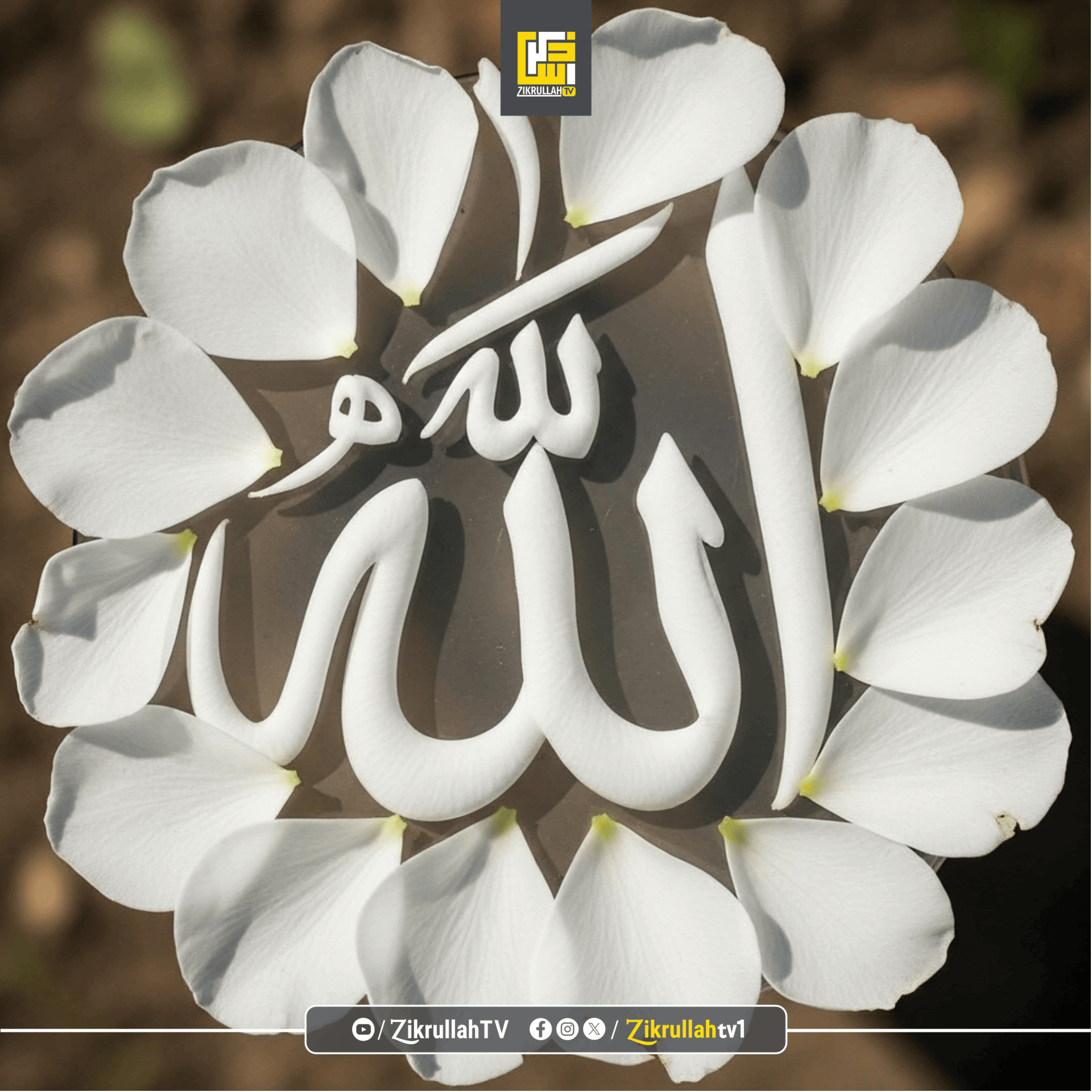 Post from Zikrullah TV