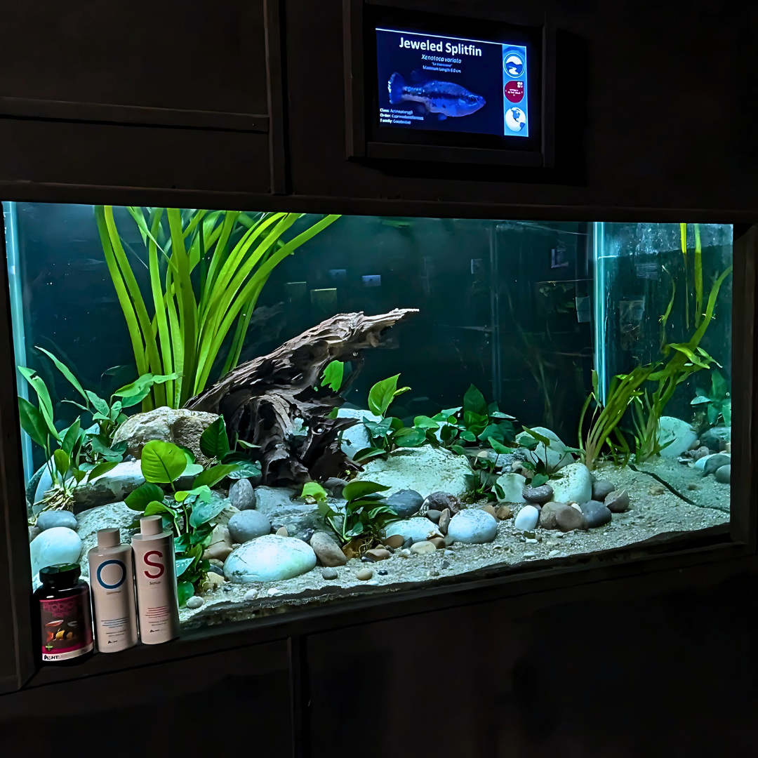 @fishshopmatt | Fish Shop Matt | fishfam.link