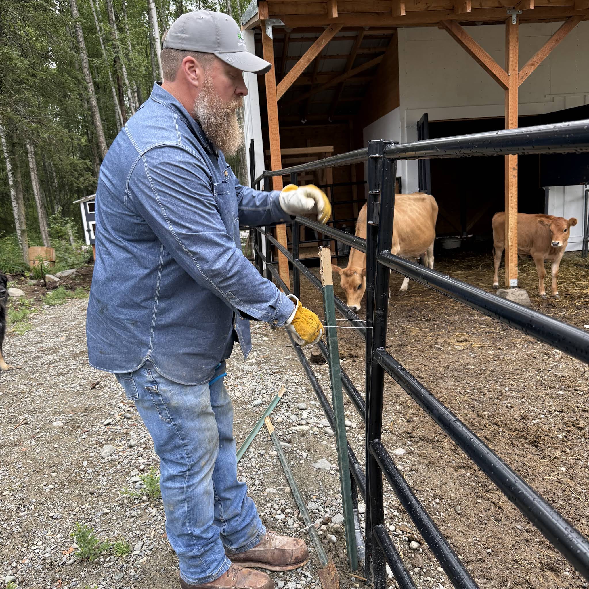 Post from Modern Homestead Alaska