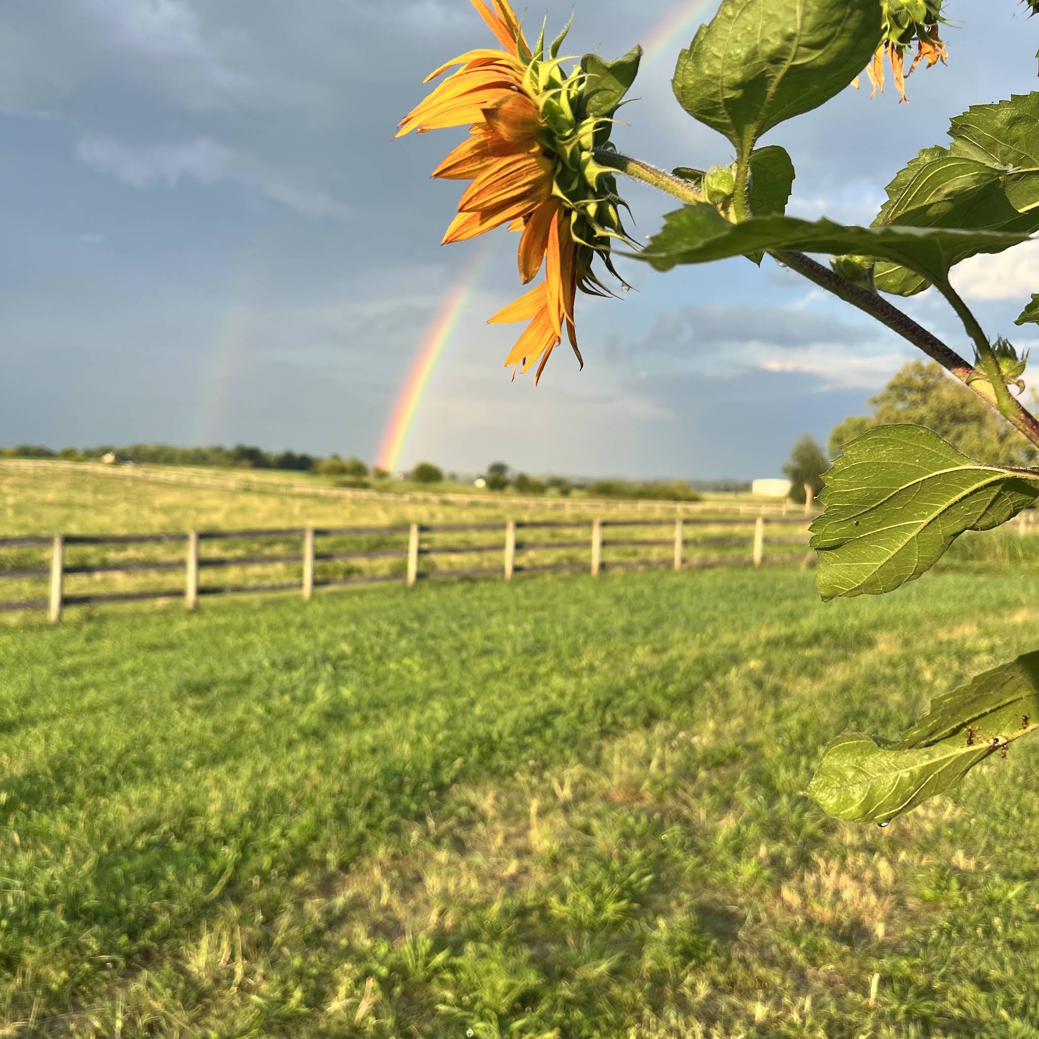 Post from Life With Sandra Hart