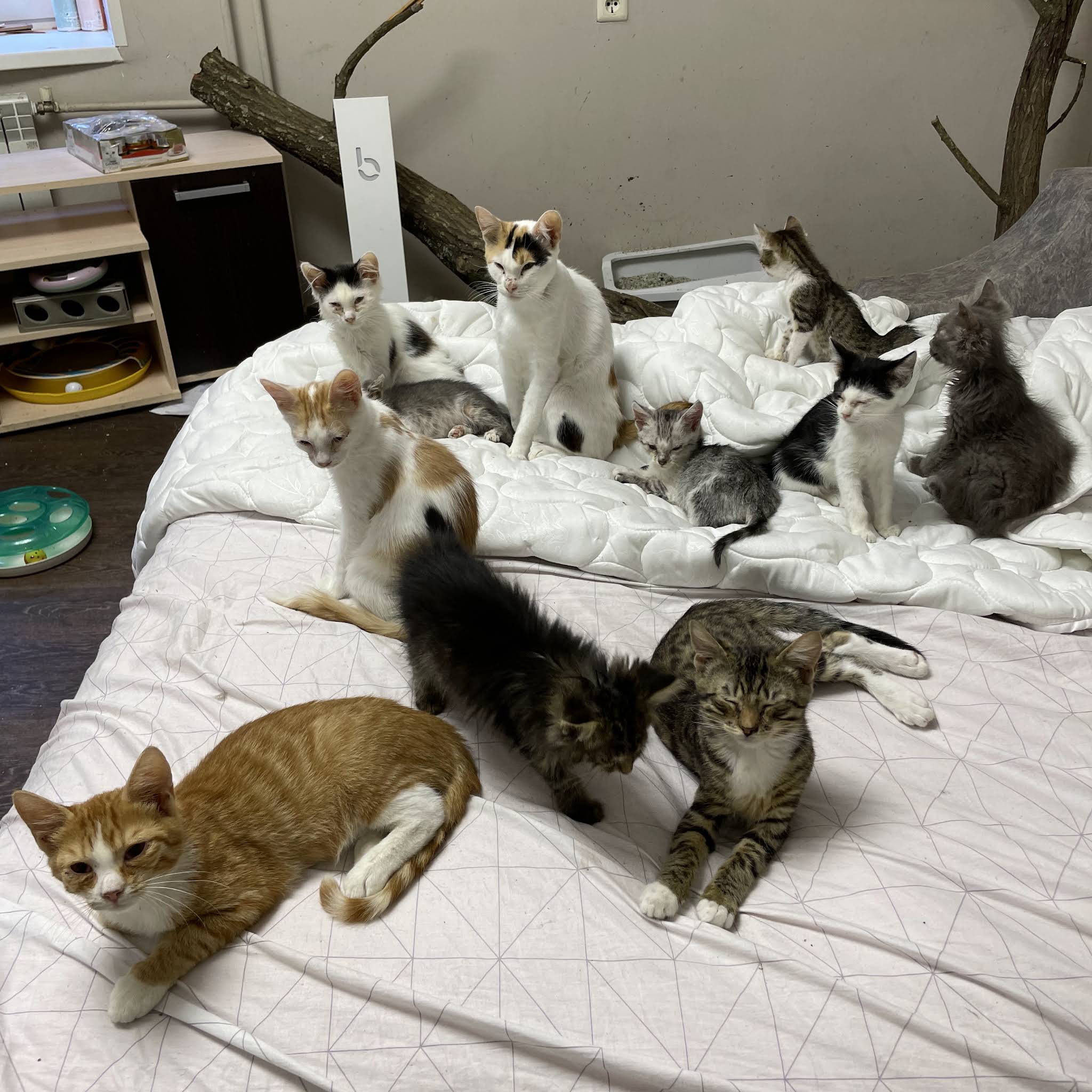 Post from Robin Seplut