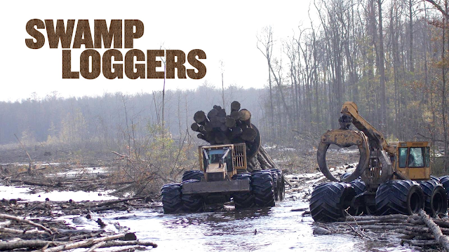 Watch Swamp Loggers online | YouTube TV (Free Trial)