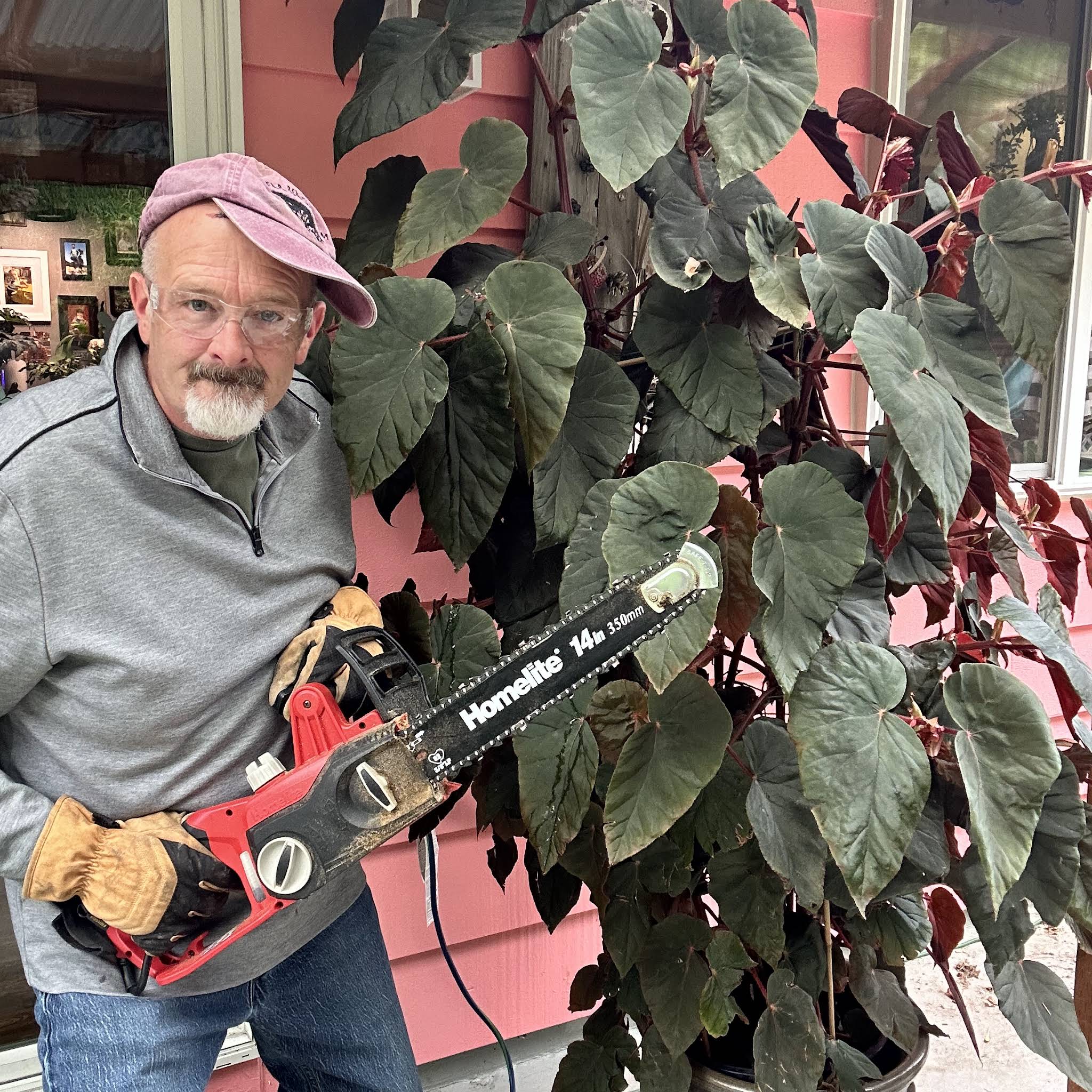 Post from The Angry Gardener